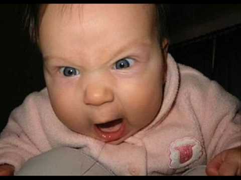 Laugh your head off Videos 1!!!!! - YouTube