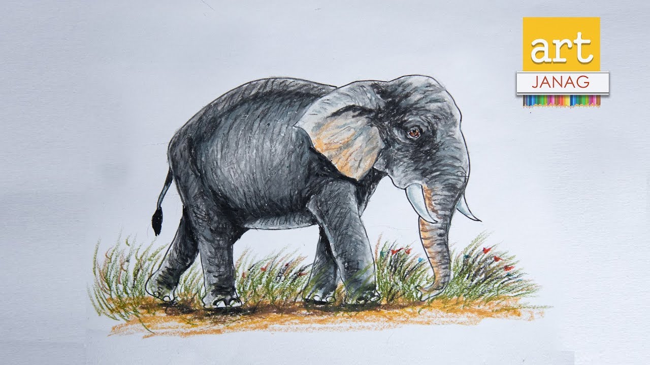 How to Draw an Elephant II Wild animal Drawings II Art JanaG - YouTube