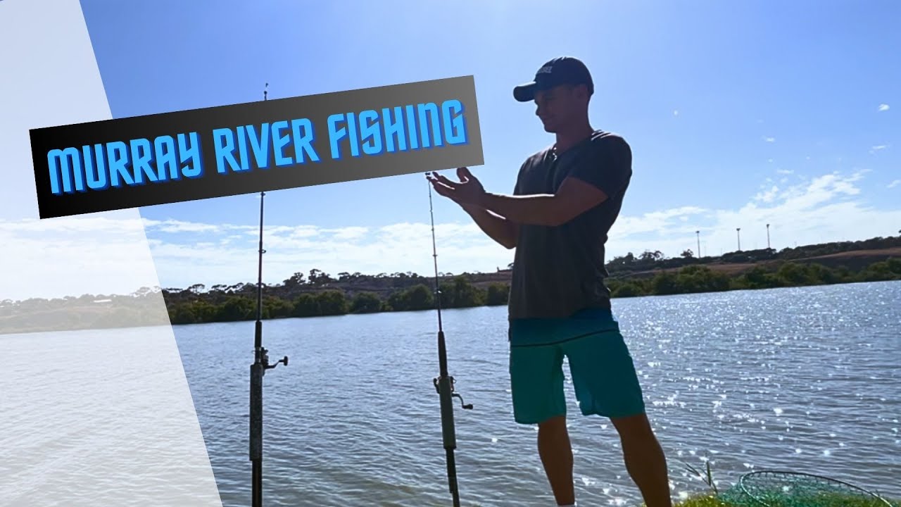 Carp Fishing the Mighty Murray River at Murray Bridge March 2024 - YouTube