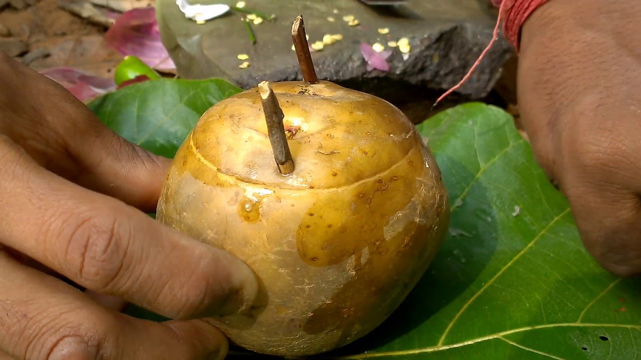 Survival Skills Primitive || Cooking Egg Potato || Quick and Easy Egg ...