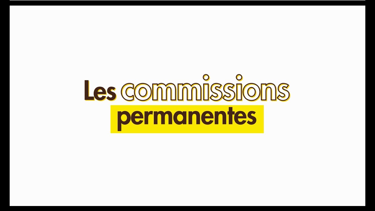 Présentation des Commissions permanentes de la CNBPF - YouTube