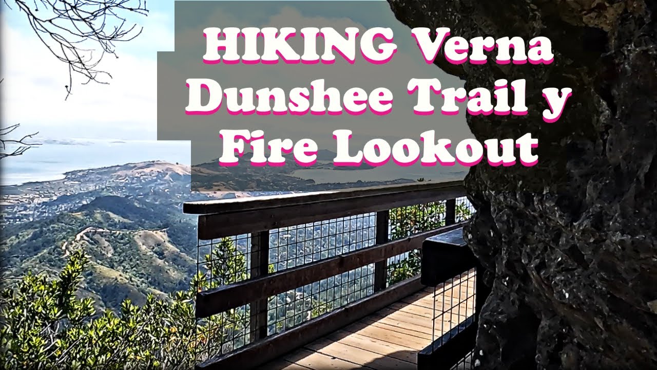Senderismo al Monte Tamalpais: Verna Dunshee Trail y Fire Lookout desde ...