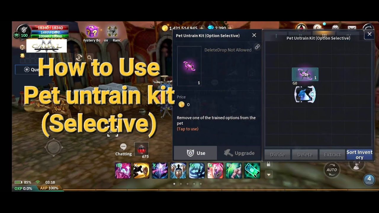 Cabal Mobile - How to use Pet untrain kit (Selective) #cabalmobileph # ...
