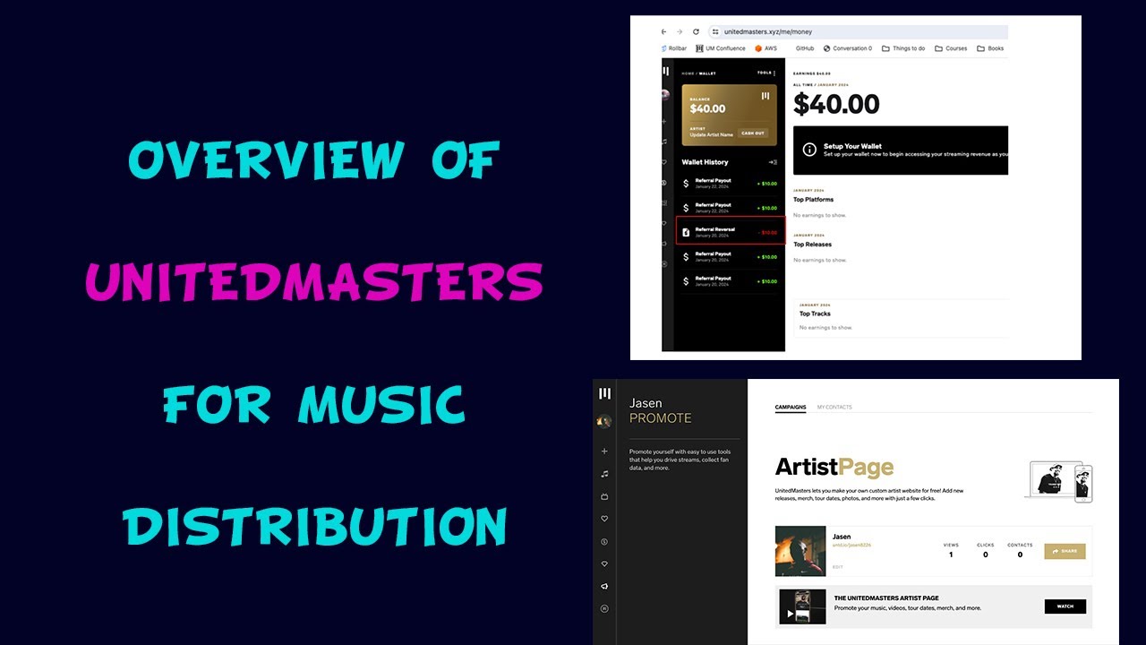 Overview of UnitedMasters Music distribution Account for music artists ...