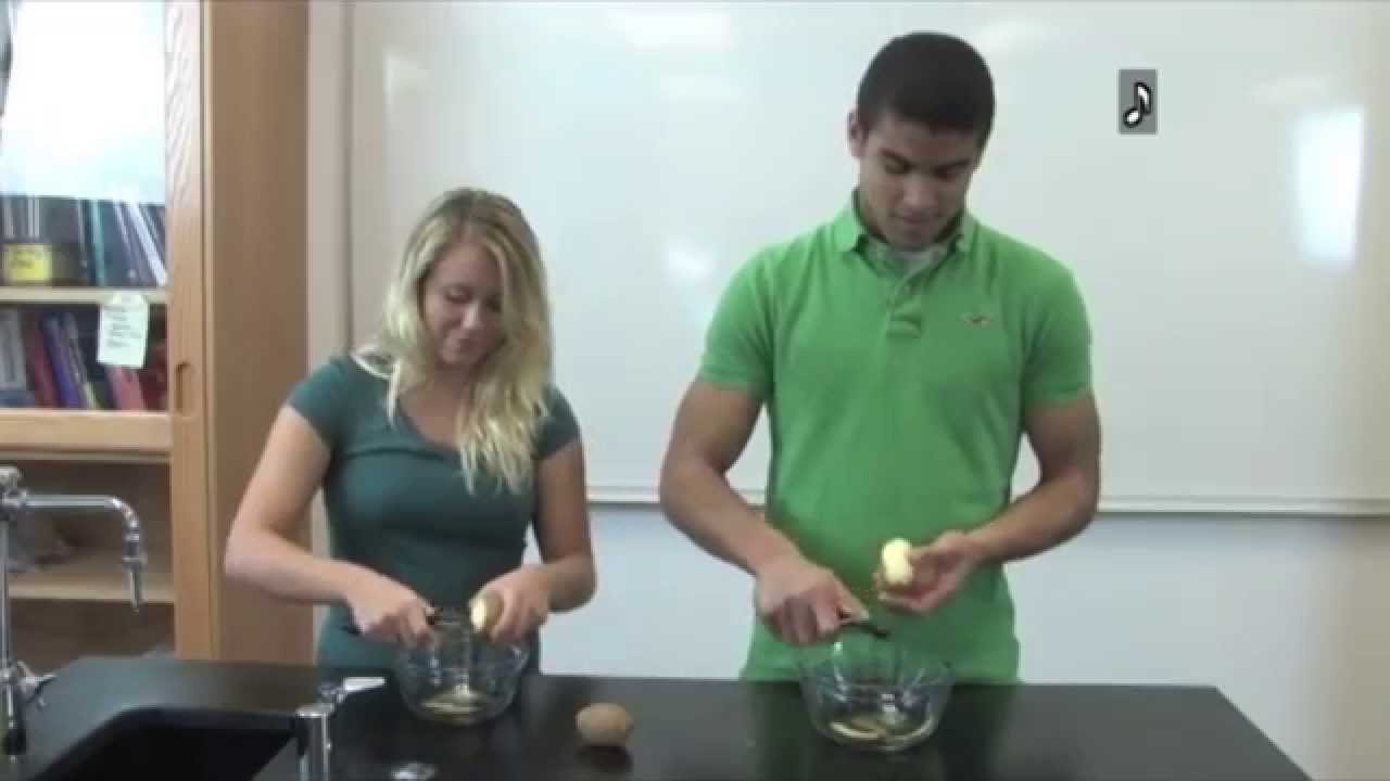 Food Science Experiments: Hand Washing and Food Safety (Accessible ...