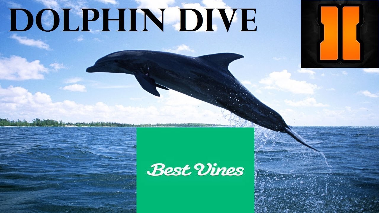 Dolphin Dive - Best Vine - Black Ops 2 - YouTube