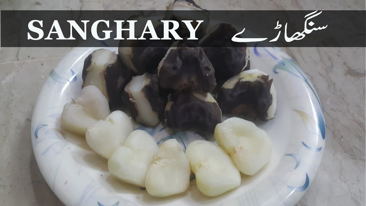 Tasty Sanghary | مزیدار سنگھاڑے - YouTube
