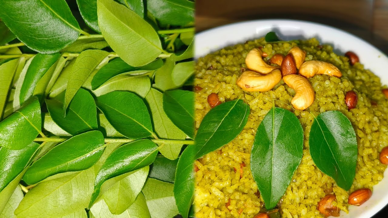 Healthy Curry Leaves Rice / కరివేపాకు రైస్ 🌿 ||@appu_Gardening_Cooking ...