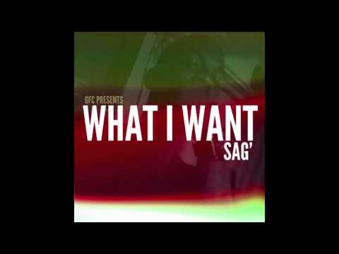 Sag'- What I Want (Trigger Finer Rmx)