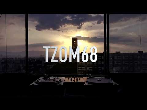 Tzom68:  Junk Wild  (Blues / Rhythm & Blues / Popcorn in 45s)