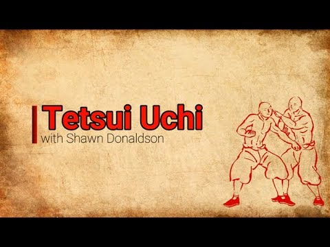 Tetsui Uchi - Hammer Fist - YouTube