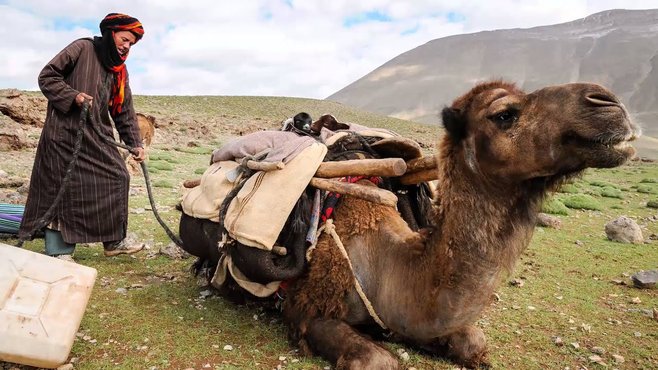 Transhumance 2015 - YouTube
