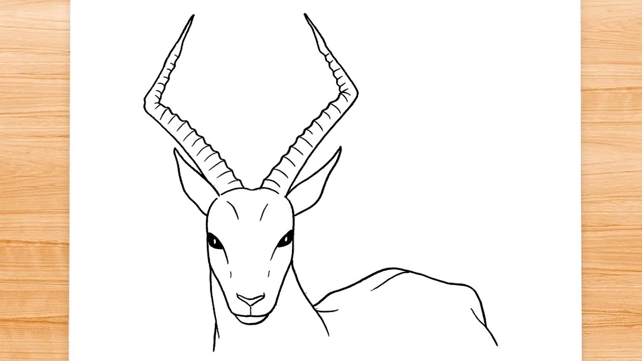 How to draw Impala - YouTube