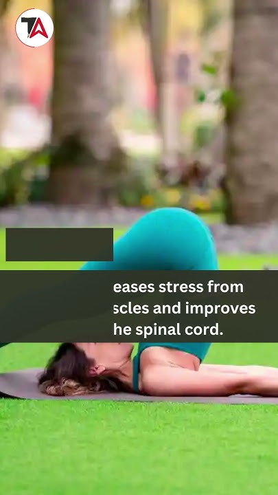 International Yoga Day 5 Asanas to Reduce Back Pain - YouTube