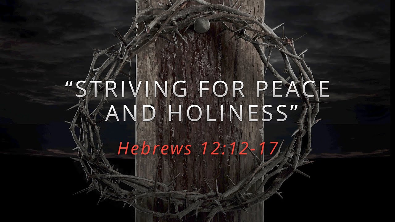 Striving for Peace and Holiness - YouTube