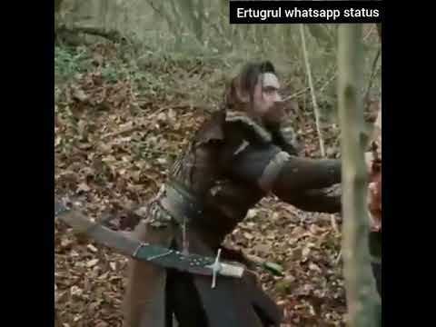 Bamsi  (babar)in love 💜