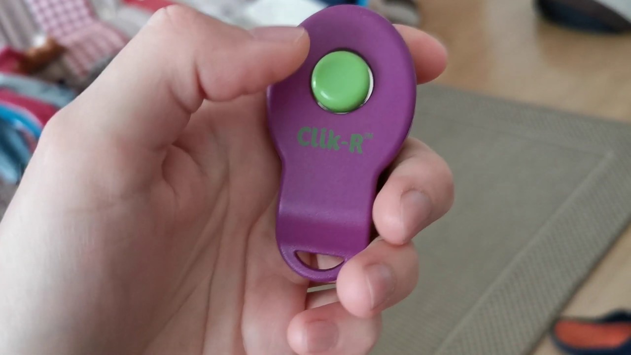 New Clicker Clik-R arrived! 😍 - YouTube