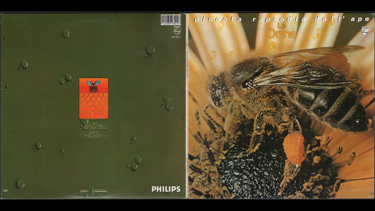 - 12° LP - 1980 - FULL ALBUM - YouTube