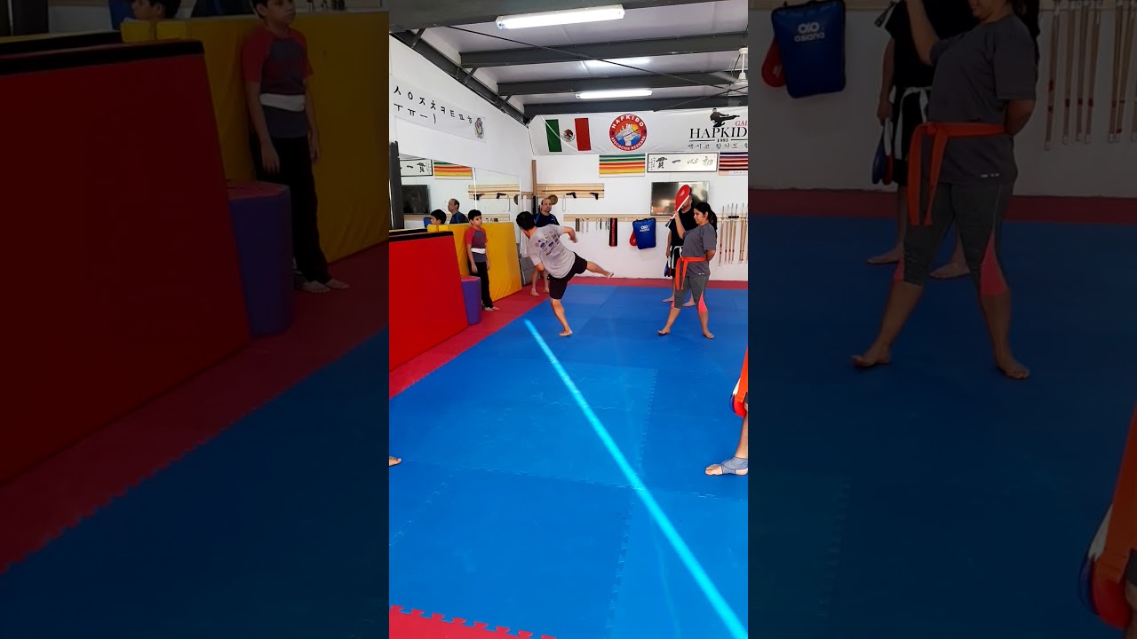 Maestro Dong Hun Choi Antari Antari Chagi Prácticas de Sábado - YouTube