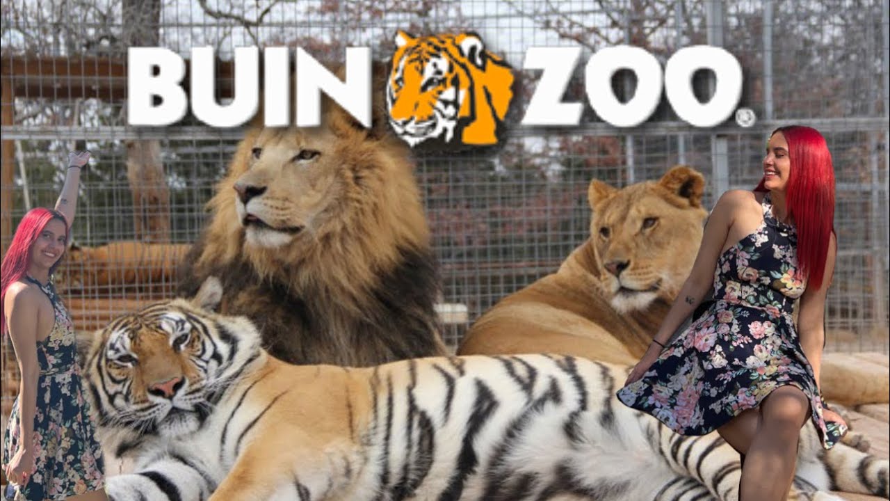 VISITANDO EL ZOOLÓGICO BUIN ZOO / ¿EL MEJOR DE CHILE? / Katiubela - YouTube