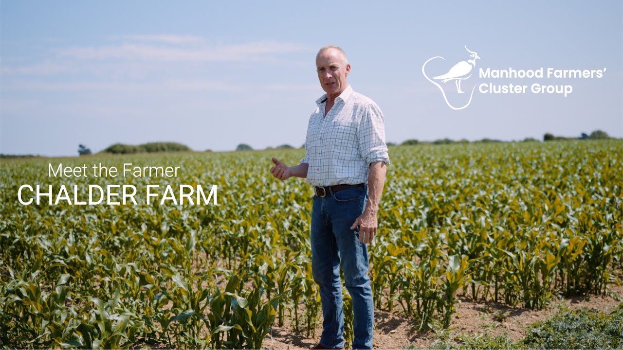 Meet the Farmers - Chalder Farm - YouTube