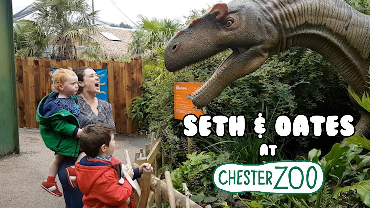 Seth & Oates - Out & About at Chester Zoo - YouTube
