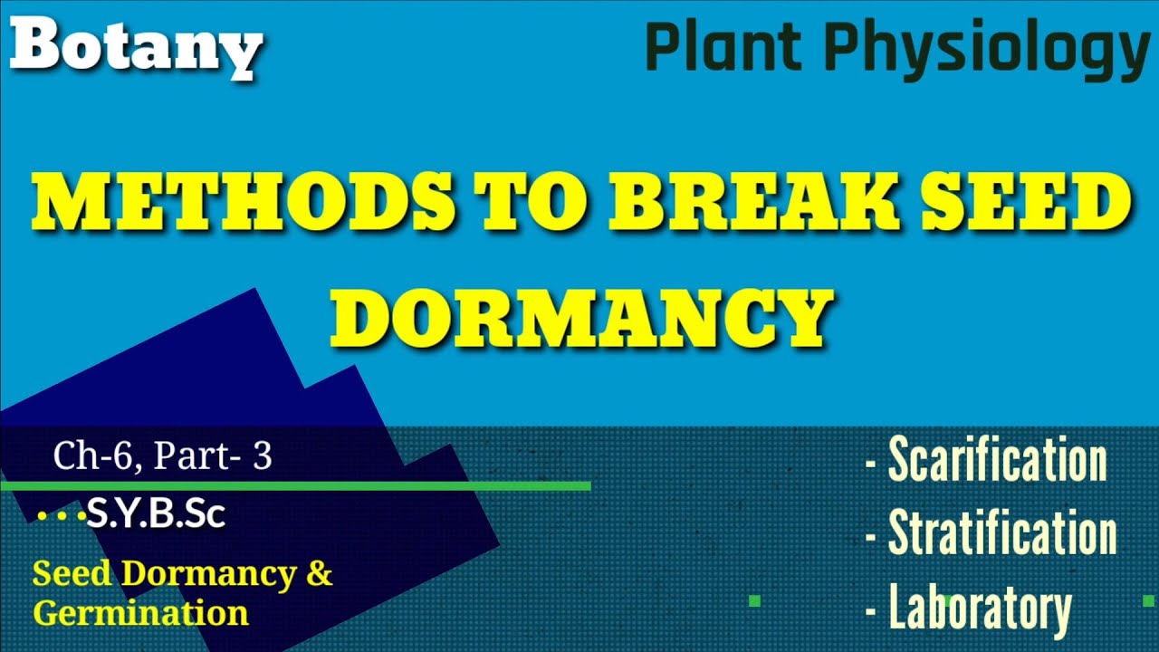 SYBSc|Ch-6(P3)| Methods to Break Seed Dormancy | Scarification ...