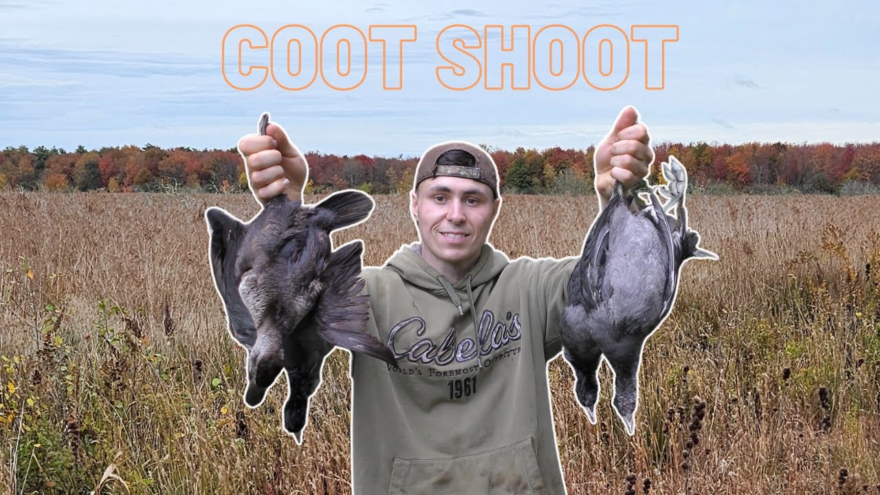 Duck & Coot Jump Shoot | Catch & Cook - YouTube