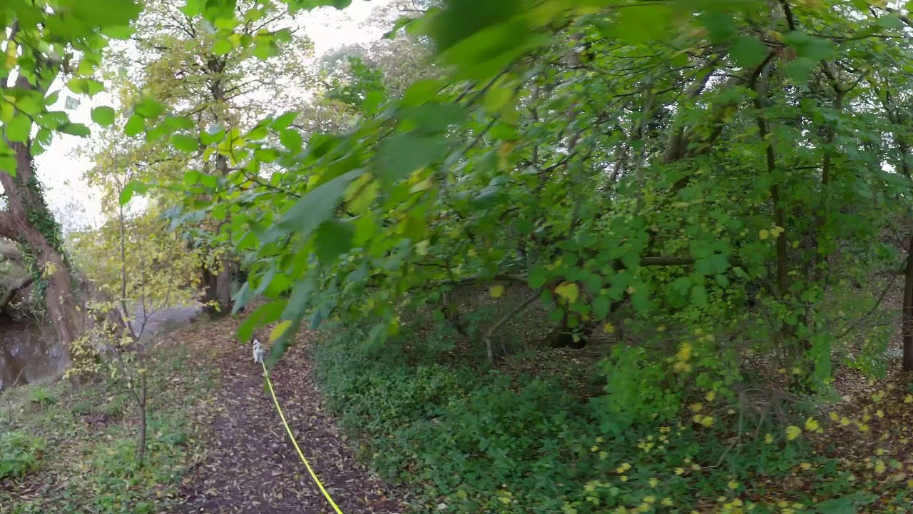 Test video to demonstrate 8K 360 video - YouTube