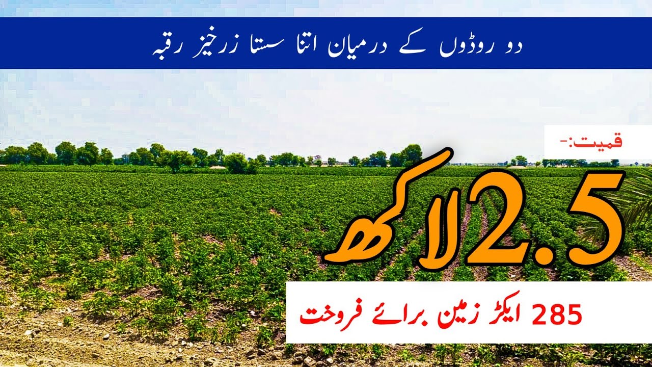 Agricultural land for sale in Punjab Pakistan | land for sale in Punjab ...