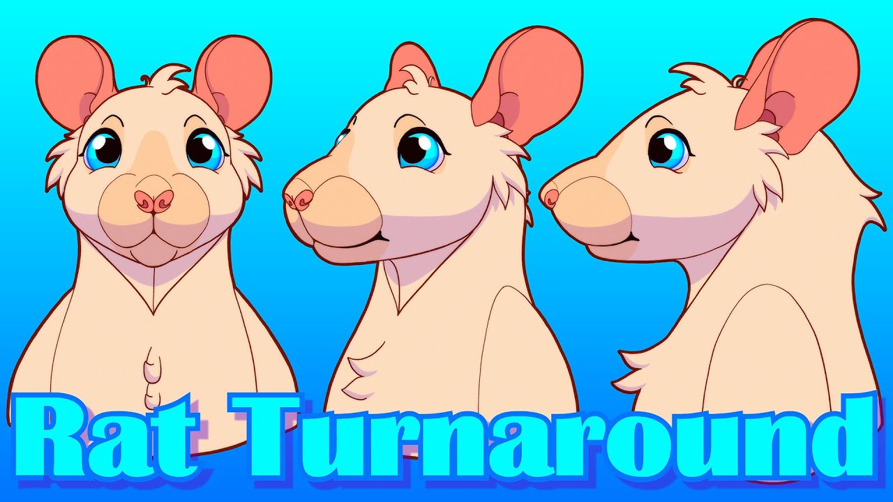 Animated Rat Turnaround - YouTube