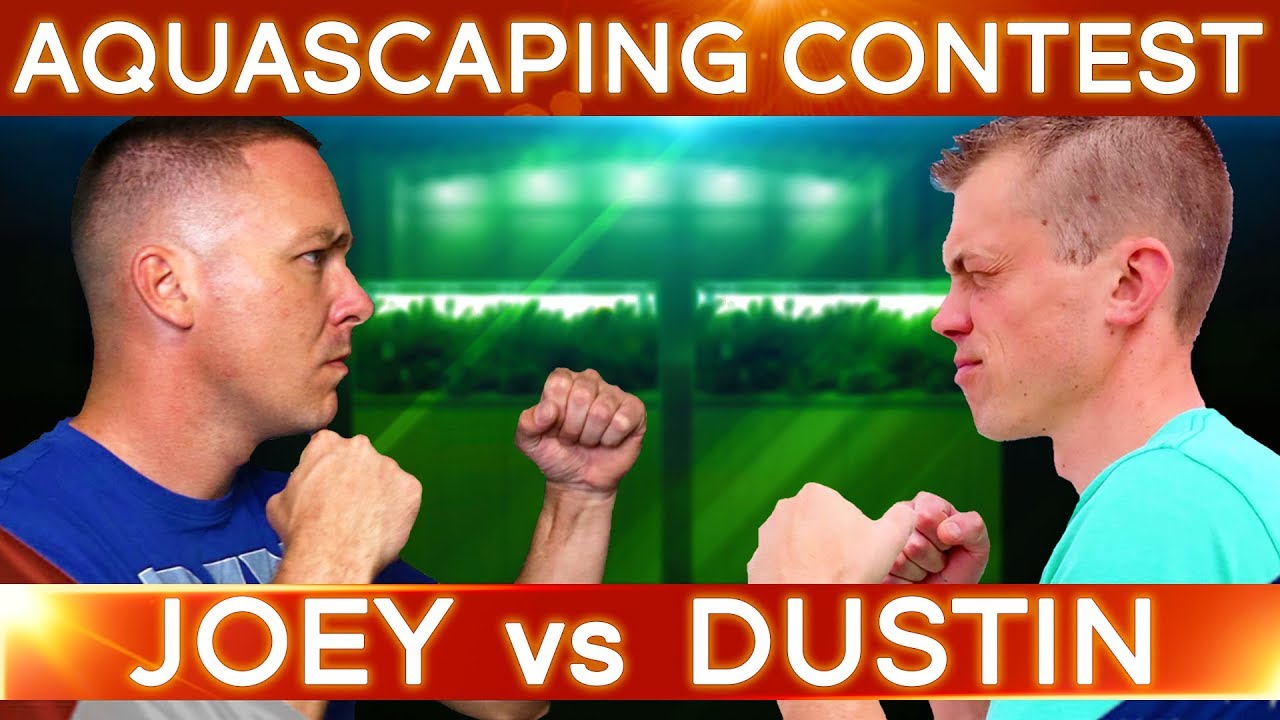 The King of DIY vs Dustin's Fish Tanks — The Live Scape Off - YouTube