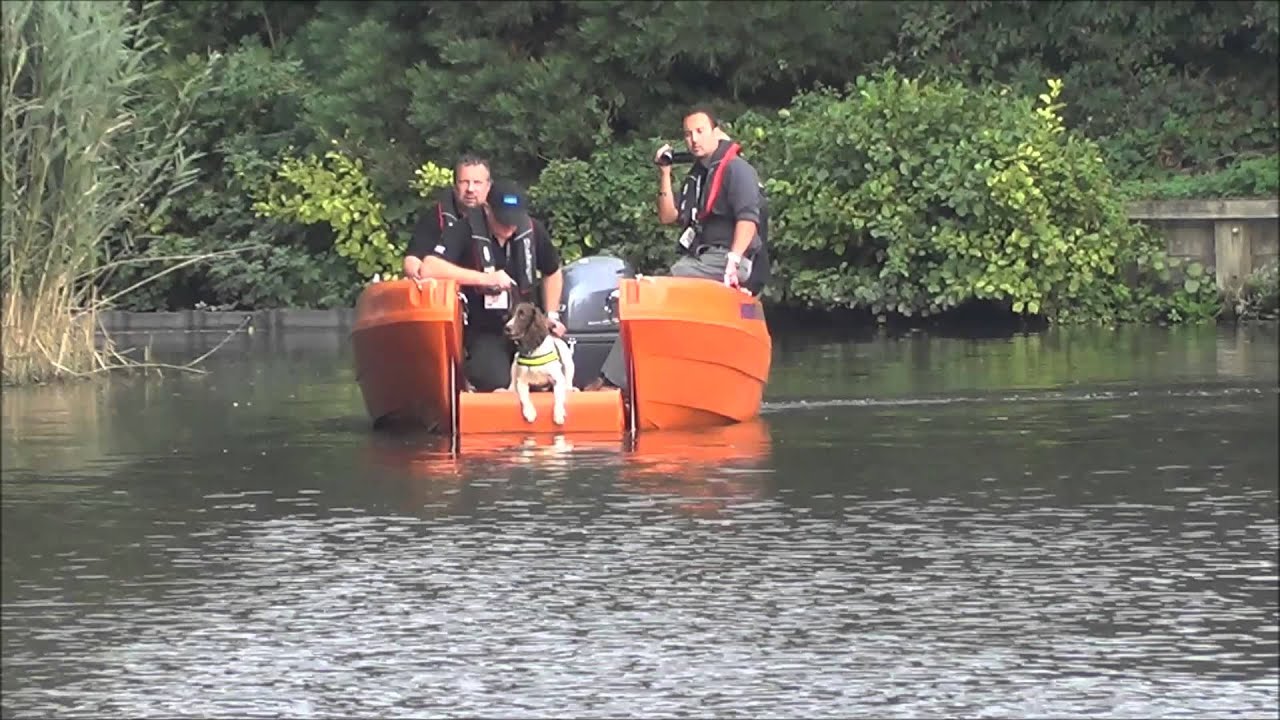 Specialist Water Search Sniffer Dog - YouTube