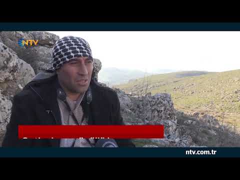 Şanlıurfalı çiftçi, hayatını çizgili sırtlanlara adadı..(Sayıları 8'den 48'e yükseldi)