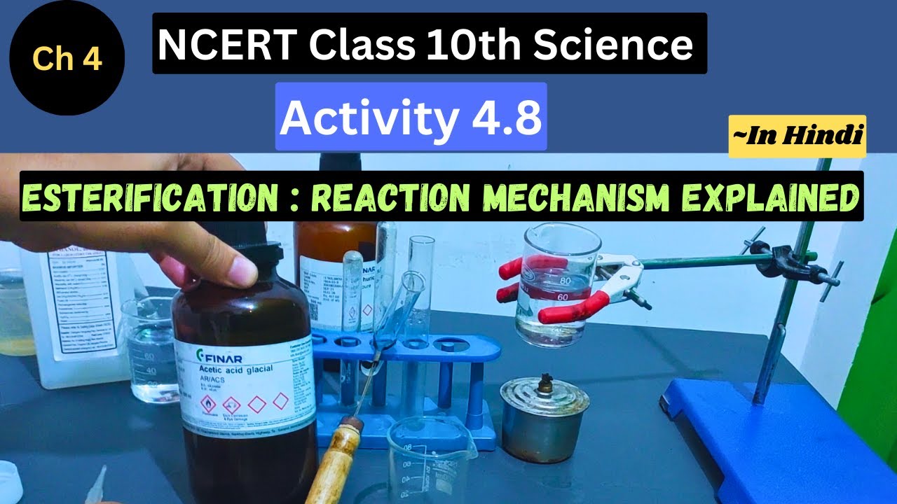 Activity 4.8 I Class 10 Science I Esterification - YouTube