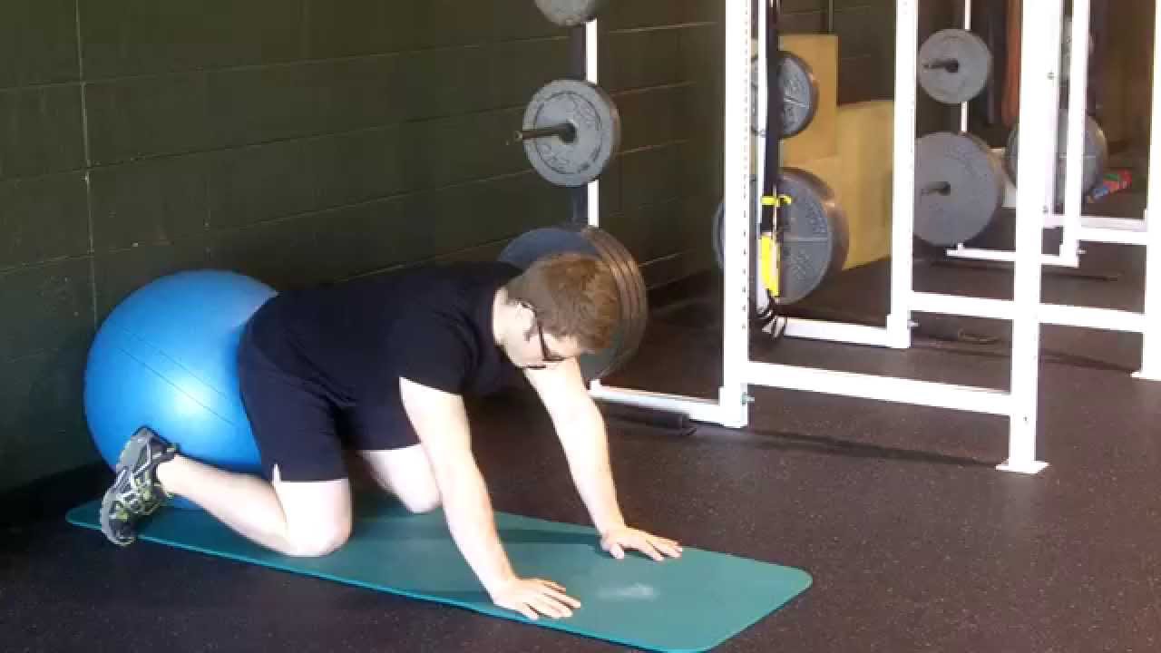 Quadruped Rockback Into Stability Ball - YouTube