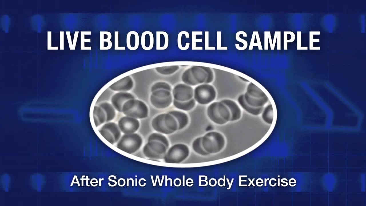 www.SonicWaves.Co Sonix Whole Body Vibration Machine - YouTube