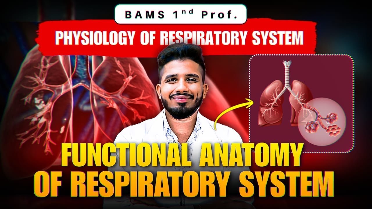 Physiology of respiratory system :- Functional anatomy of respiratory system || BAMS 1st Prof # ...