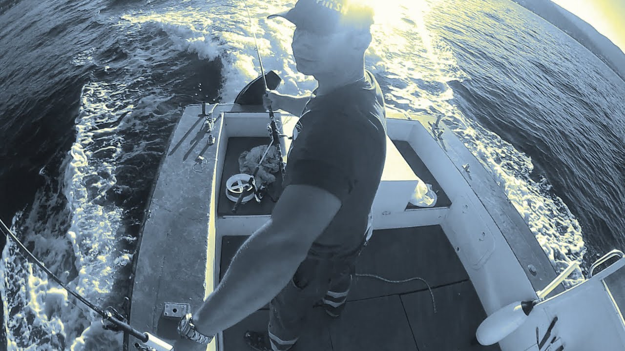 Το ψαρεμα του κυνηγου(mahi mahi) με συρτη και spinning απο σκαφος - YouTube
