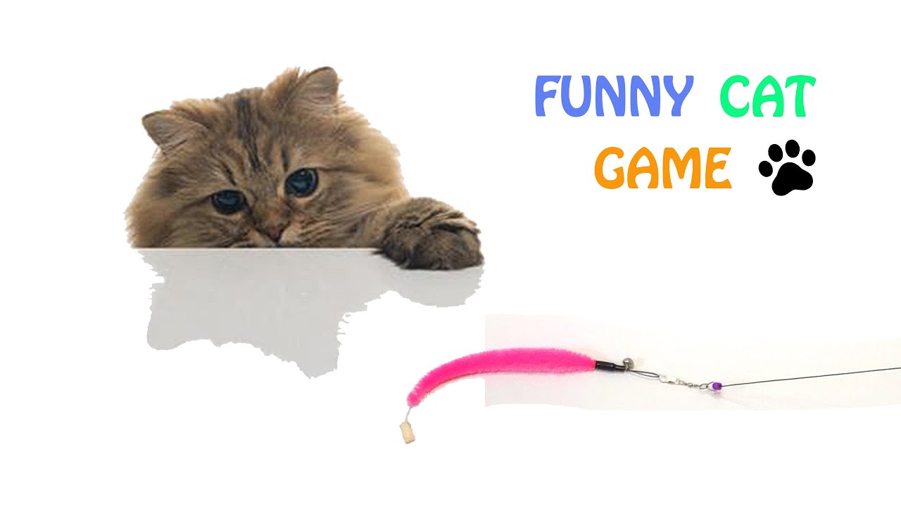 FUNNY CAT GAMES PINK WORM 1 HOUR - YouTube