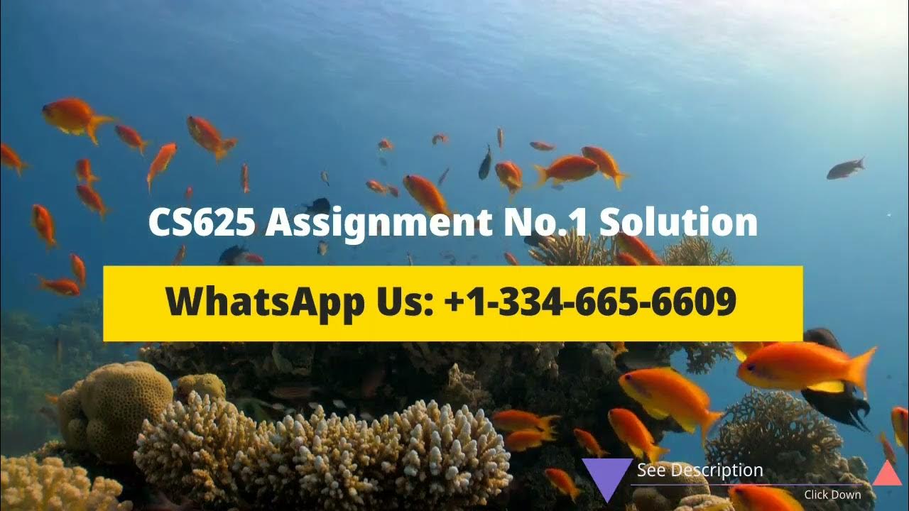 CS625 Assignment No. 1 Solution Spring 2023 - YouTube