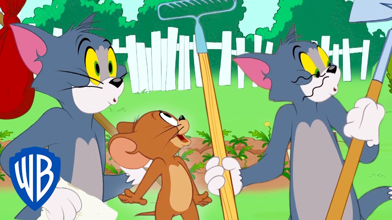 Tom et Jerry en Français | Tom rentre à la maison | WBKids - YouTube