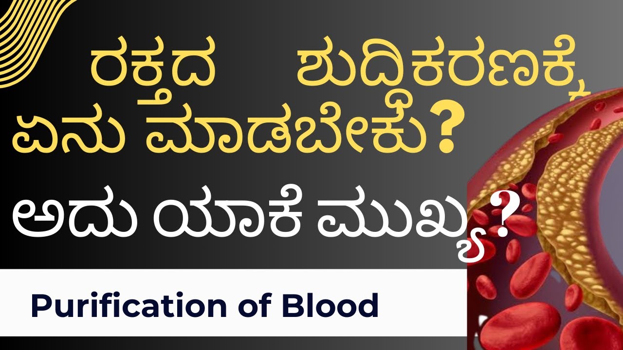 Blood Purification | Why it's important and How it can Improved - YouTube