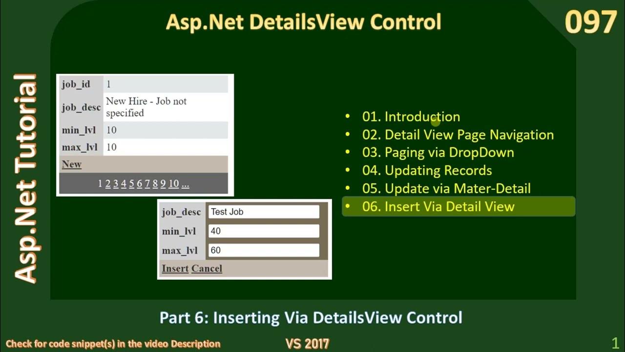 Asp Net DetailsView | Part 6 - Insert via DetailsView Control | Asp Net Tutorial #97 - YouTube