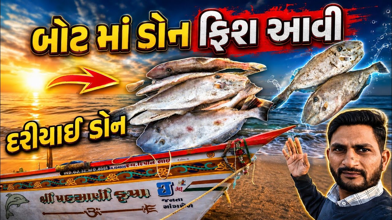બોટ માં ડોન ફીશ આવી ⛵🐠Don Fish Arrived In The Boat - YouTube