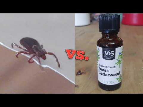 Do Cedar Trees Repel Fleas