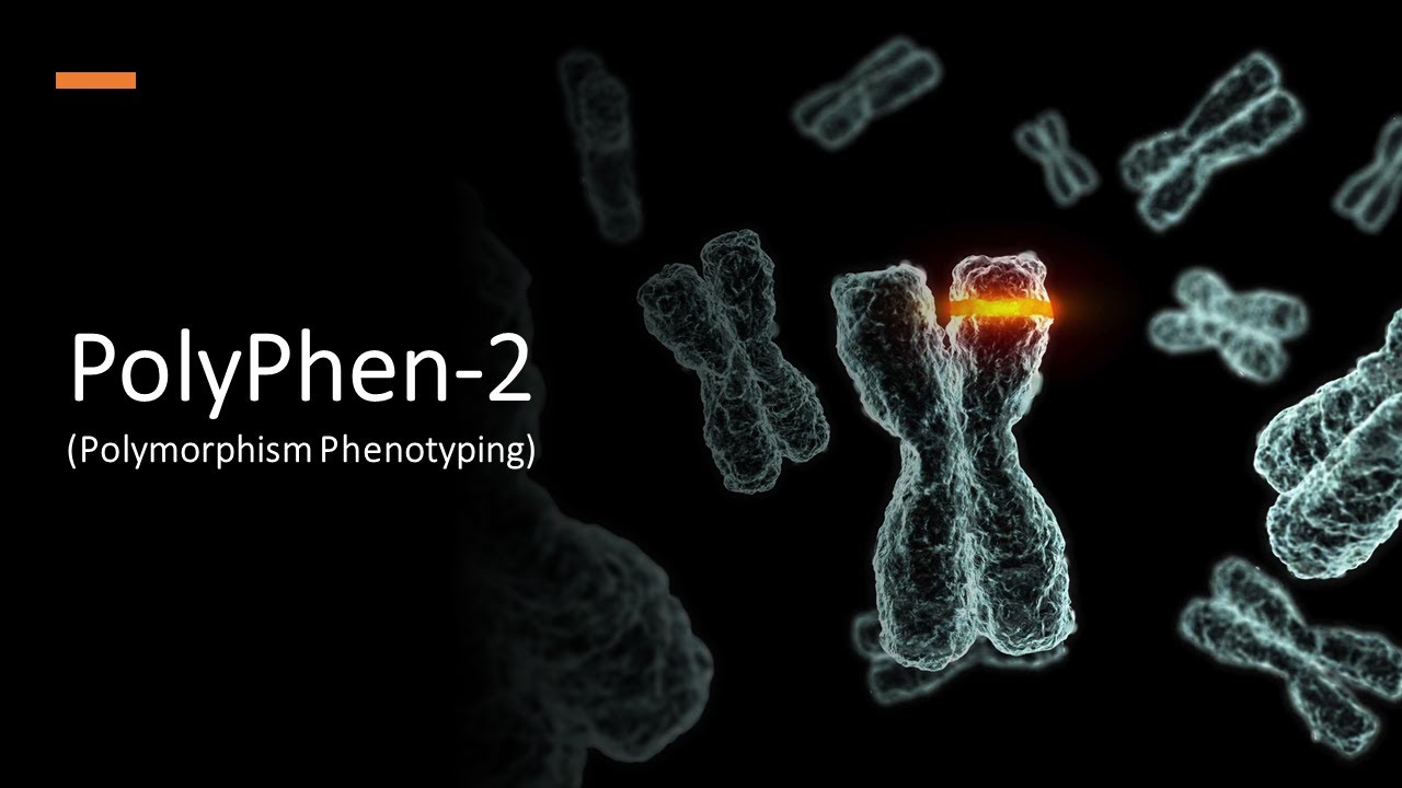 PolyPhen-2 (Polymorphism Phenotyping) - YouTube