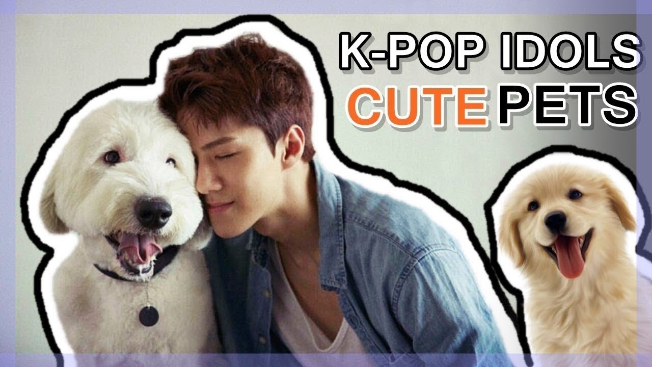K-POP IDOLS VS. PETS - YouTube