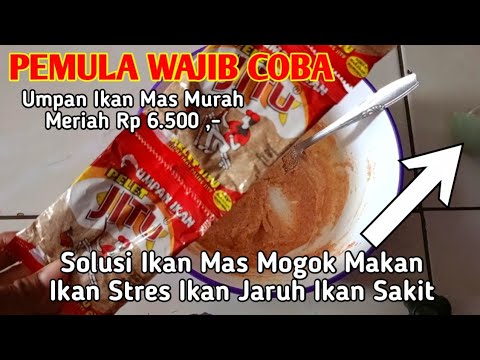 UMPAN PELET JITU MERAH SOLUSI IKAN MAS SUSAH MAKAN ‼️UMPAN MURNIAN ...