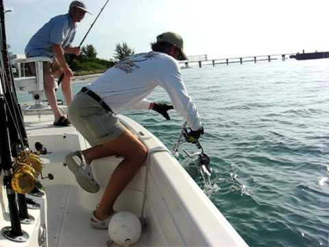 fishing for tarpon 130 pounds 3  www.weedlesslures.co.uk